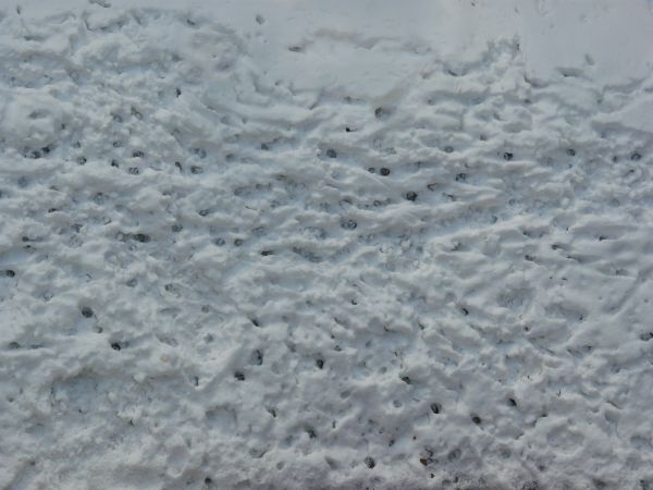 frozen ground texture 0060 - Texturelib